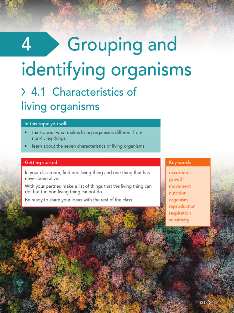 Unit 4 - Grouping and Identifying Organisms | PDF