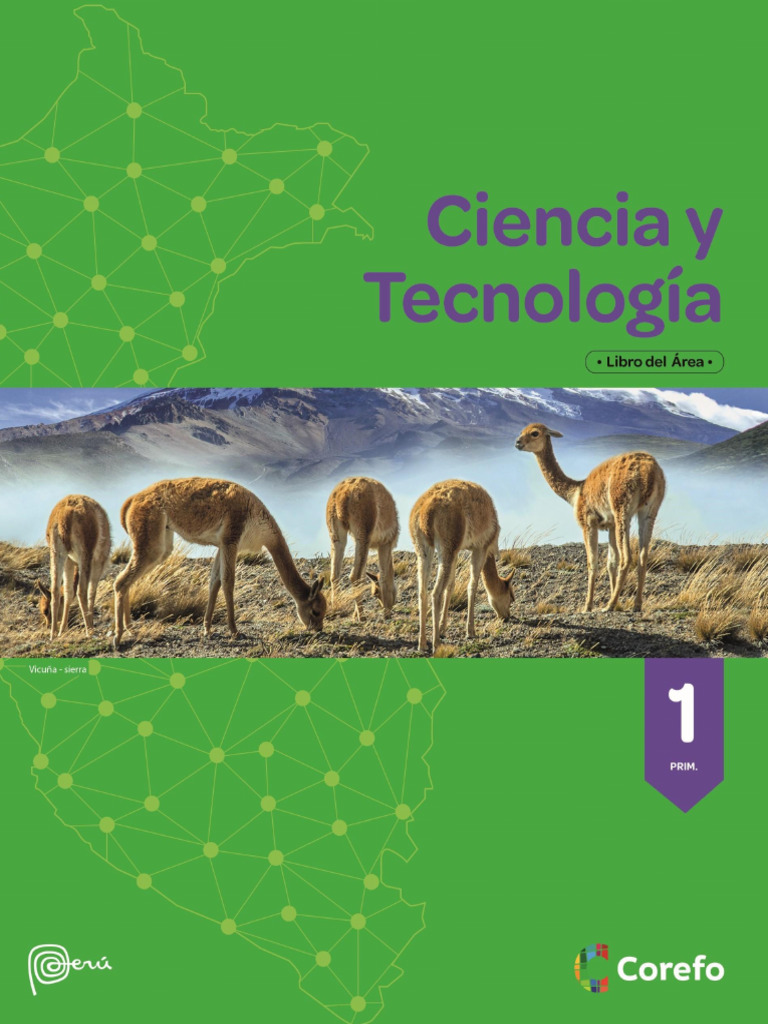 1º Ciencia Area | PDF