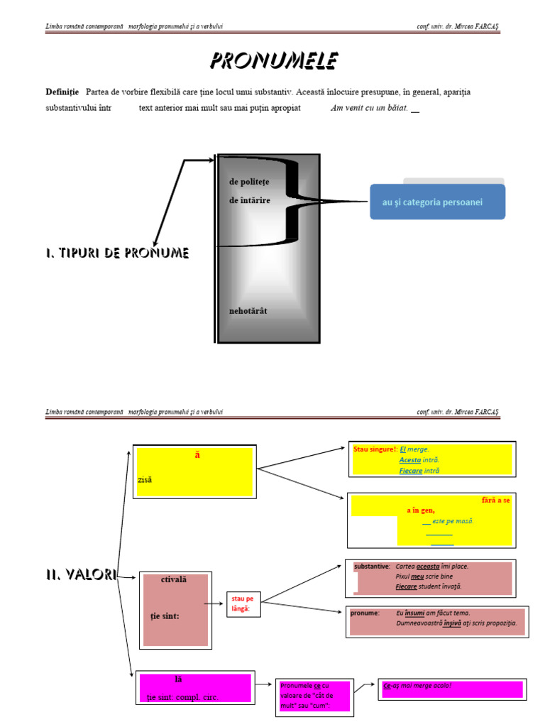 Pronumele - Aspecte Generale 1 | PDF