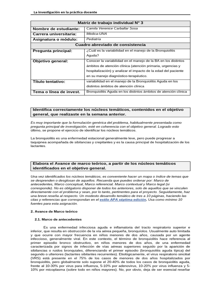Matriz de Trabajo S3 | PDF