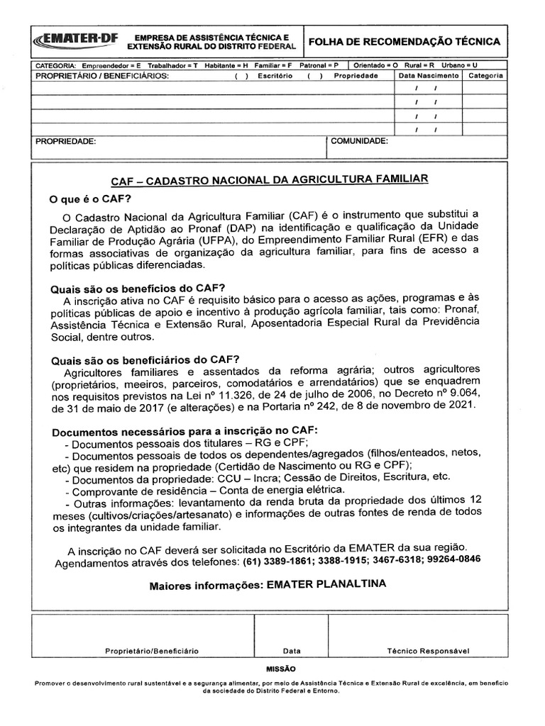 RT Caf 2023 | PDF
