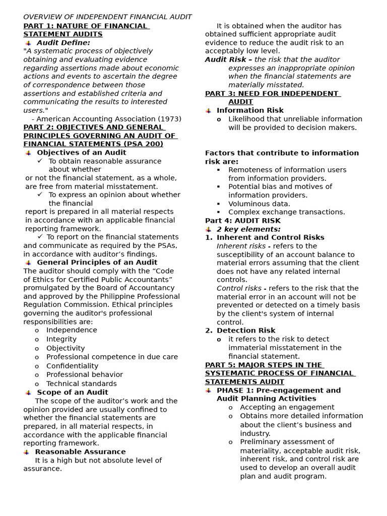 Overview of Independent Financial Audit | PDF
