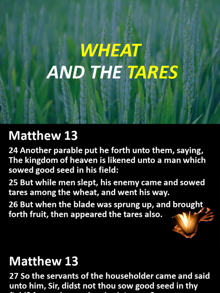 The Tares and | PDF | Christian Belief And Doctrine | History