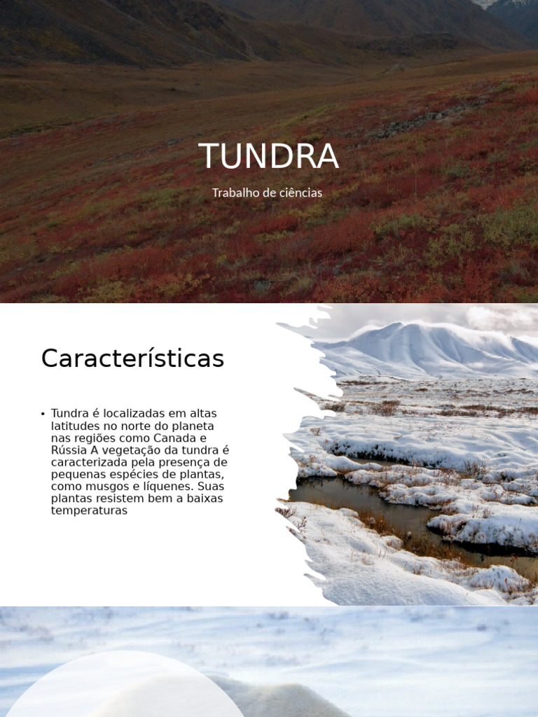Tundra | PDF