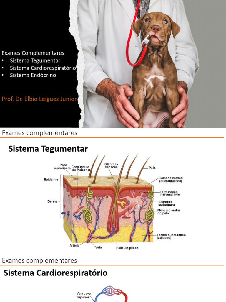 Aula 1 - Exames | PDF