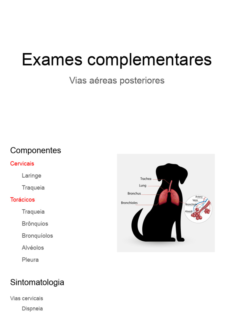 Aula 14 - Exames Complementares - Vias Aéreas Posteriores | PDF