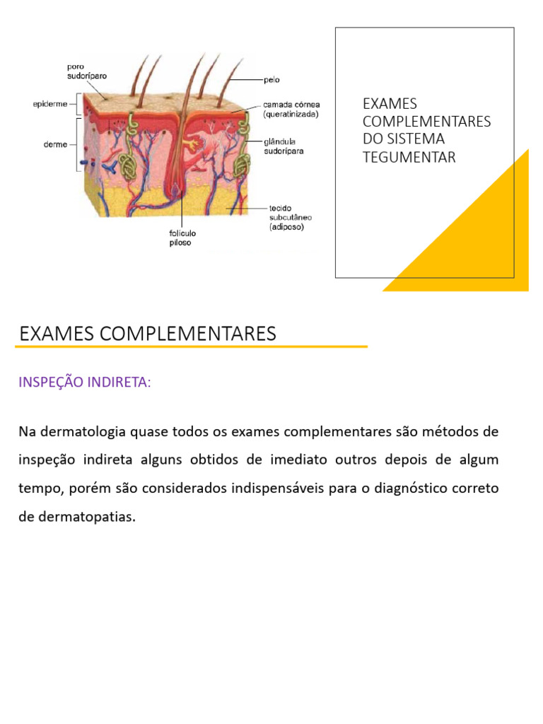 Aula 4 - Exames Complementares - Tegumentar | PDF