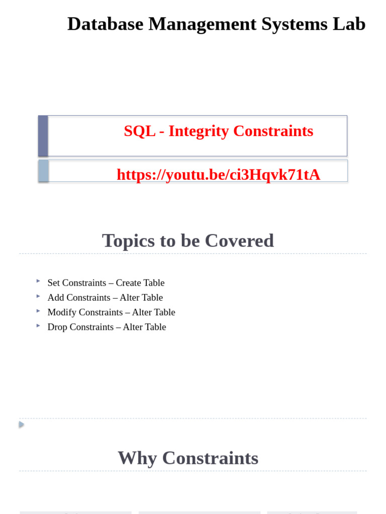 Integrity Constraints | PDF