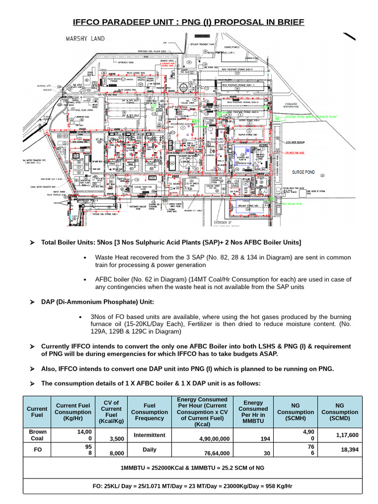IFFCO PARADEEP UNIT - PNG (Proposal) Brief | PDF
