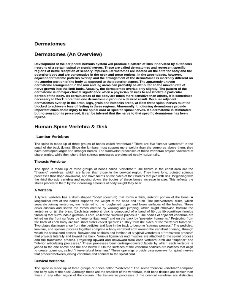 Dermatomes Pdf
