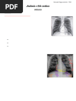 Apostila Precórdio | PDF | Ventrículo (coração) | Átrio (coração)