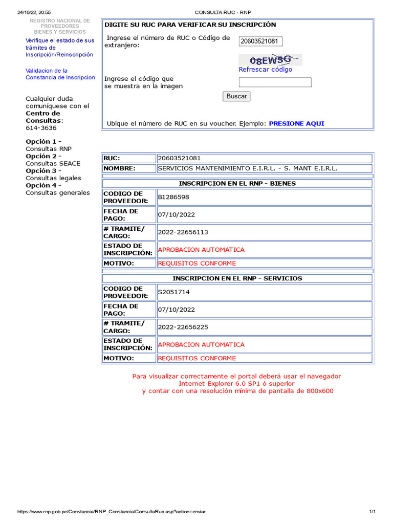 Consulta Ruc - Rnp | PDF