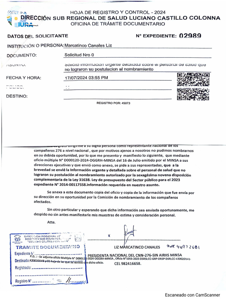 Solicitud Nombramiento Minsa | PDF