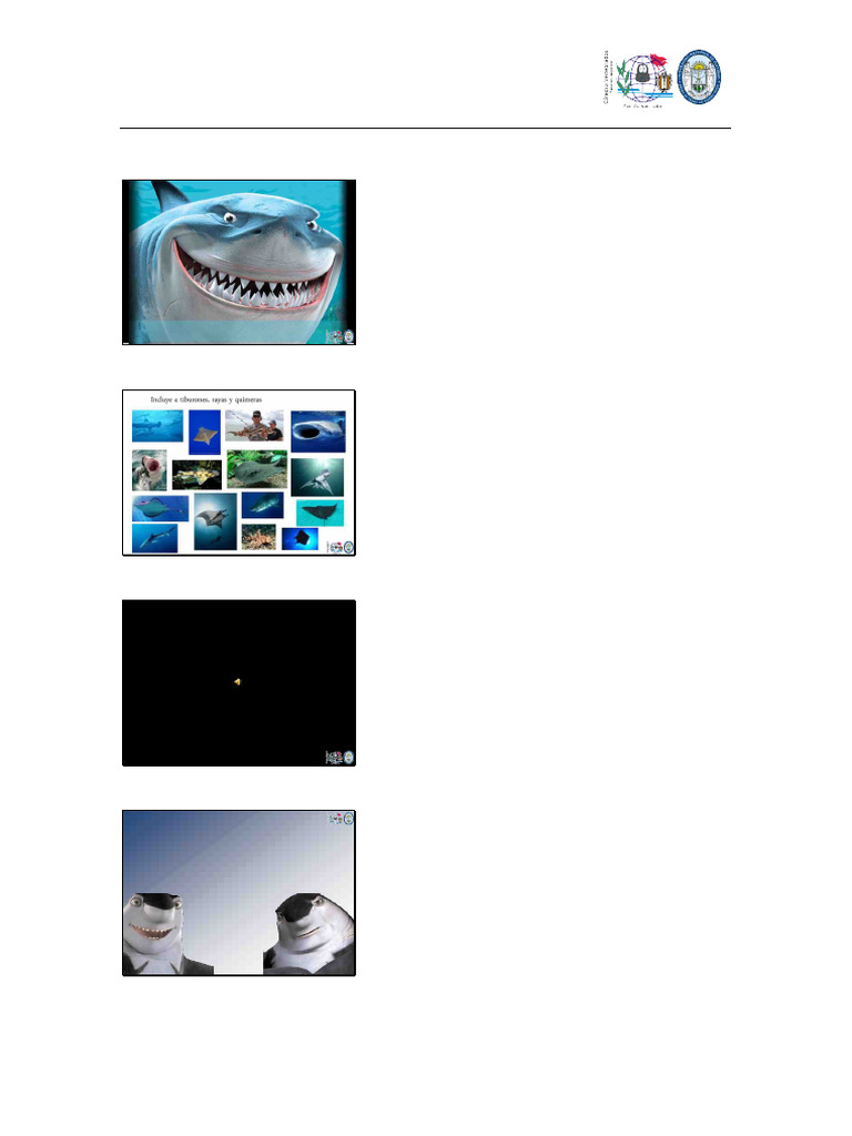 Chondrichthyes - Diapo + Notas | PDF