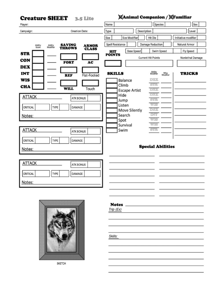Animal Sheet | PDF