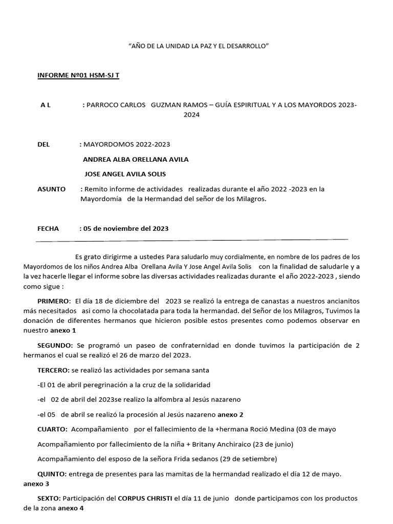Informe HSM | PDF