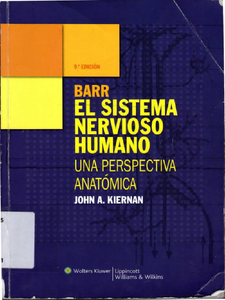 El Sistema Nervioso Humano Barr 9 Edicin 57481832 | PDF