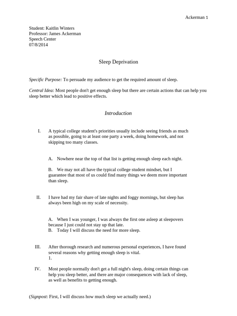 Persuasive Speech Example Preparation Outline | PDF