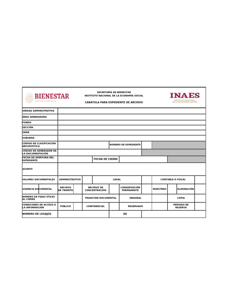 Formato Carátulas | PDF