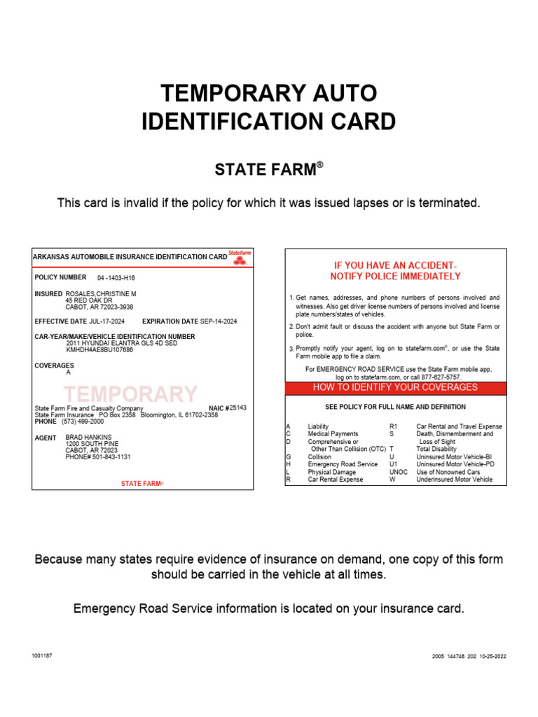 Temporary Auto Identification Card | PDF