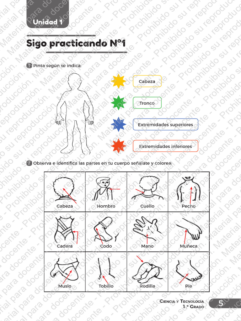 SIGO PRACTICANDO 1° Grado Ciencias - Unlocked | PDF