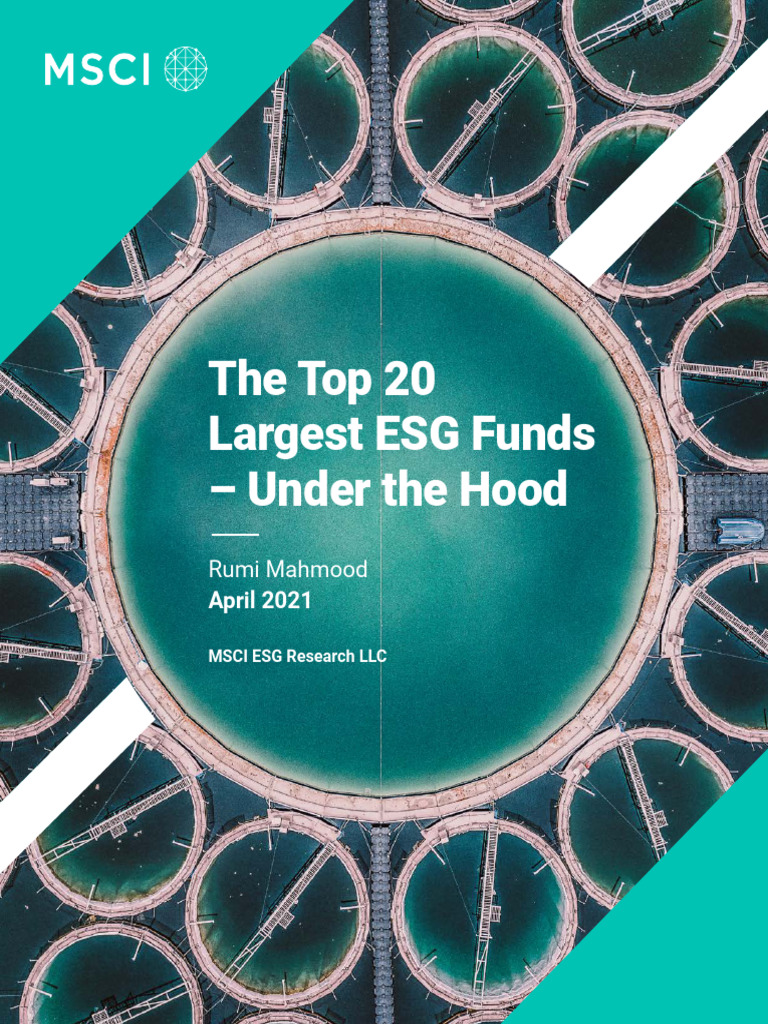 Top 20 Largest Esg Funds Pdf