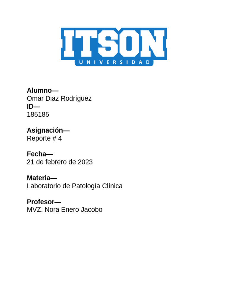 Reporte Practica 4 | PDF