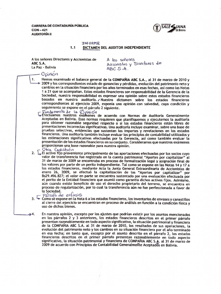 Informe del Auditor | PDF