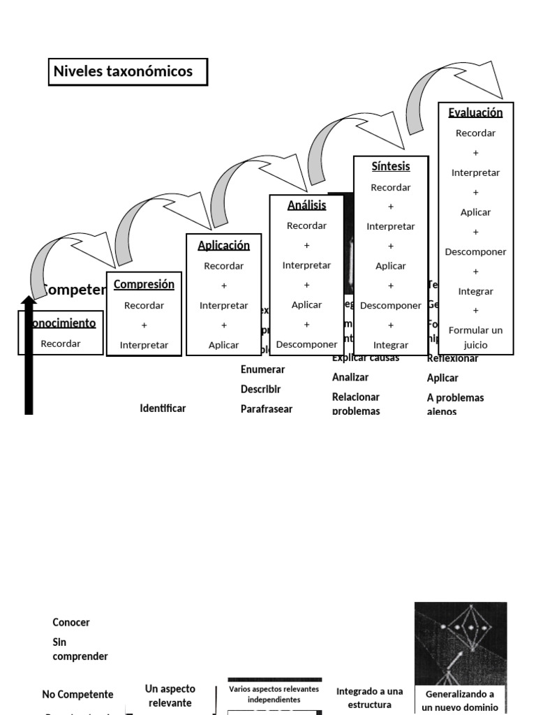 Niveles Taxonomicos Biggs | PDF Niveles Taxonomicos Biggs | PDF