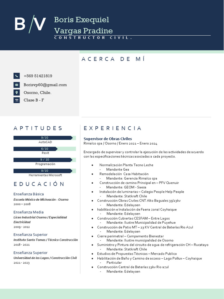 00 - BORIS VARGAS - CURRICULUM VITAE. | PDF