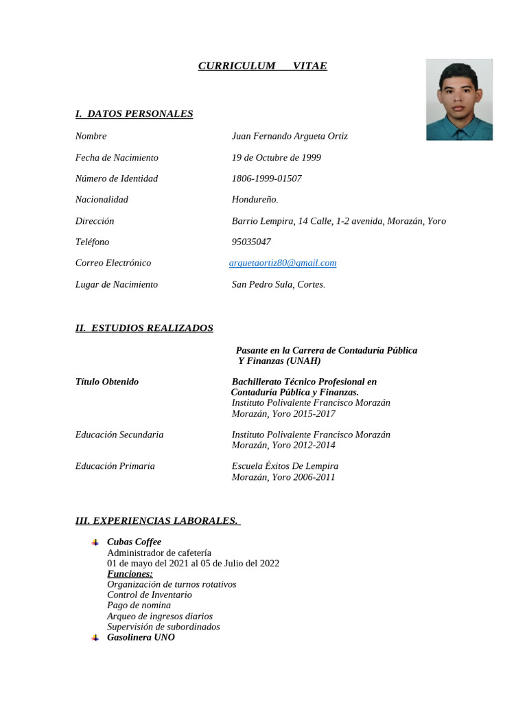 Curriculum Vitae Juan Fernando | PDF