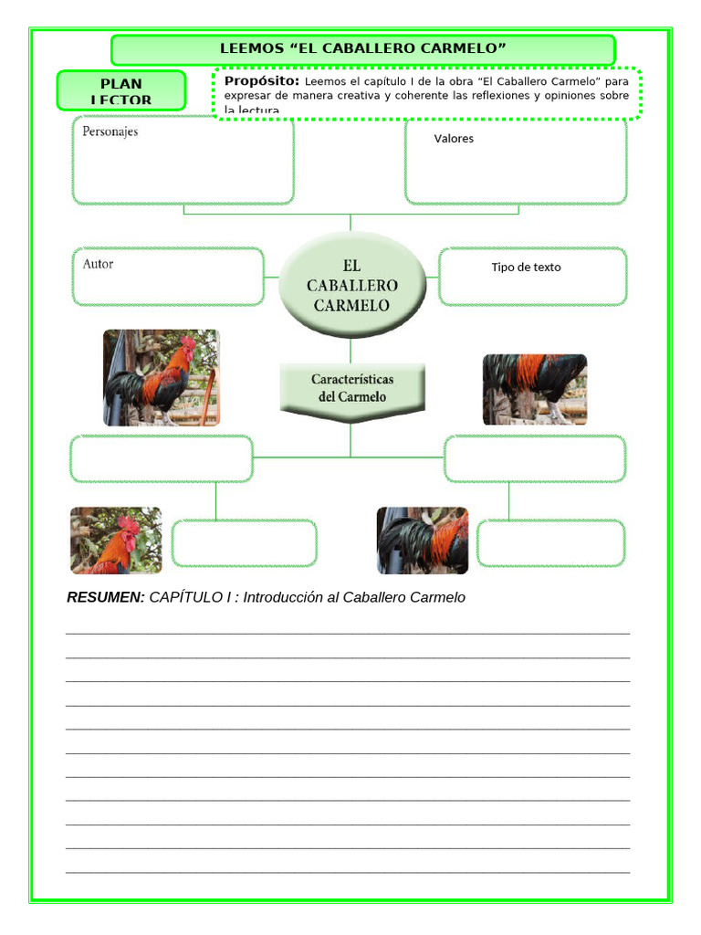 FICHA_CAP.I_CABALLERO_CARMELO | PDF