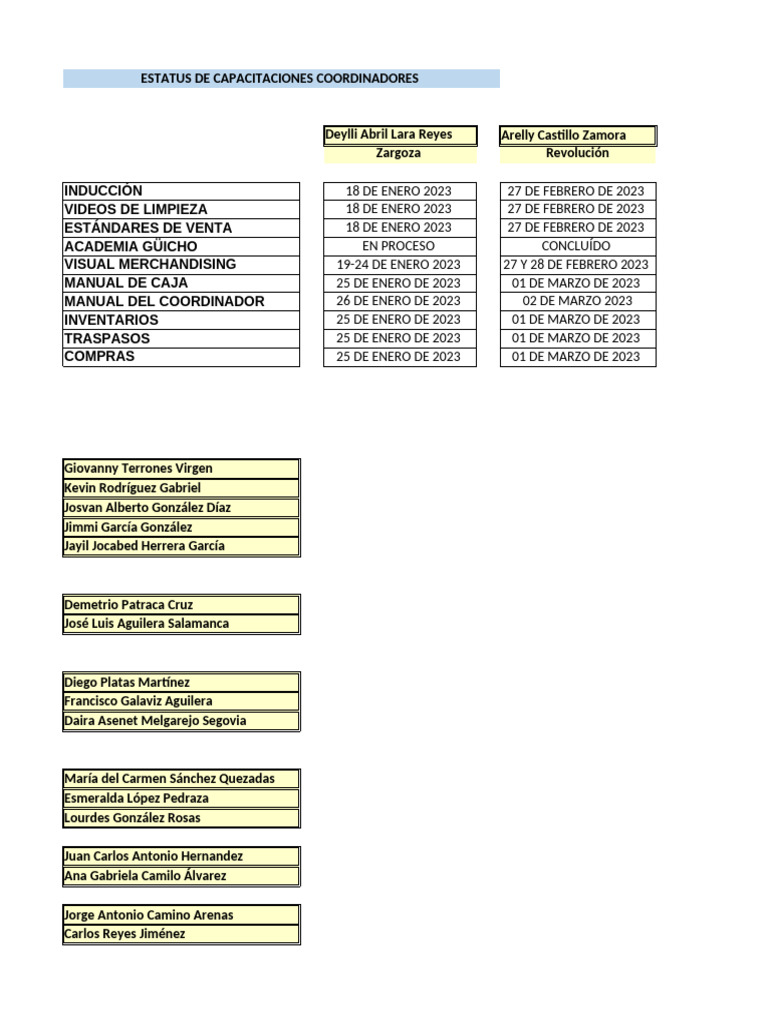 Matriz de Capacitaciones | PDF