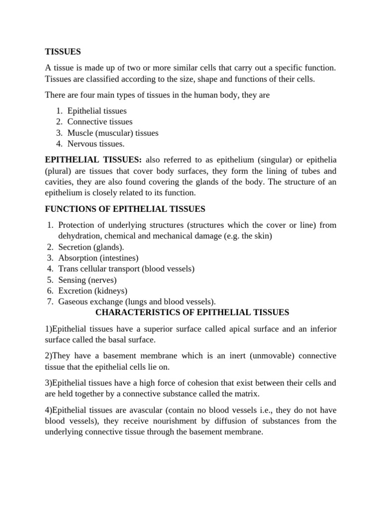 Basic Histology-1 | PDF