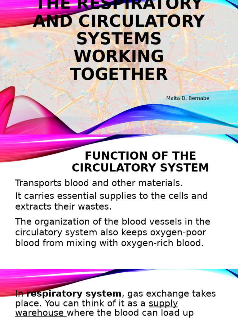 The-Respiratory-and-Circulatory-systems-working-together | PDF