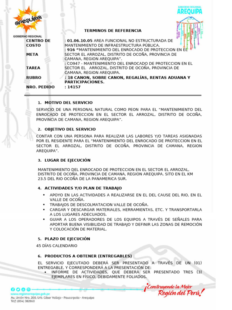 TDR - 14157 - Peon Cause - 916 | PDF