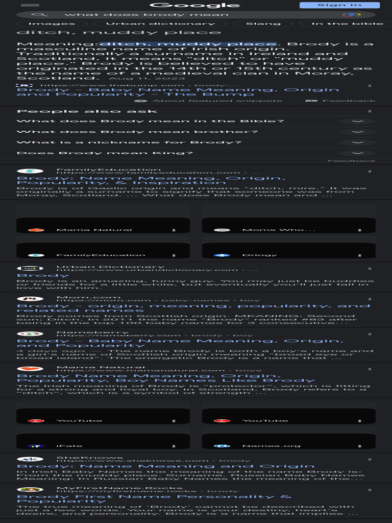 What Does Brody Mean - Google Search | PDF