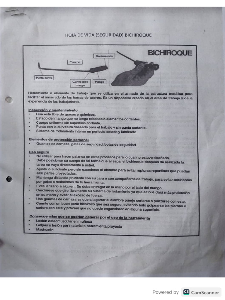 Hoja de Vida-Ficha Técnica, Bichiroque | PDF