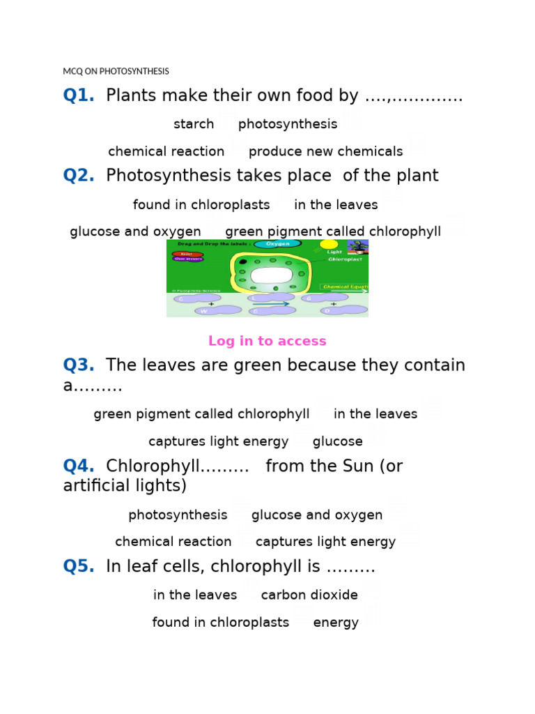 MCQ On Photosynthesis | PDF | Photosynthesis | Leaf