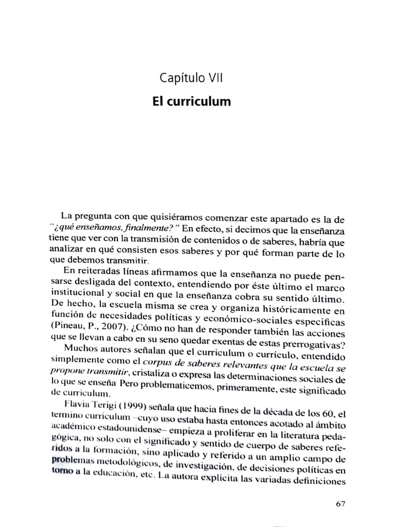 Cap. VI El Curriculum. Lesteime | PDF