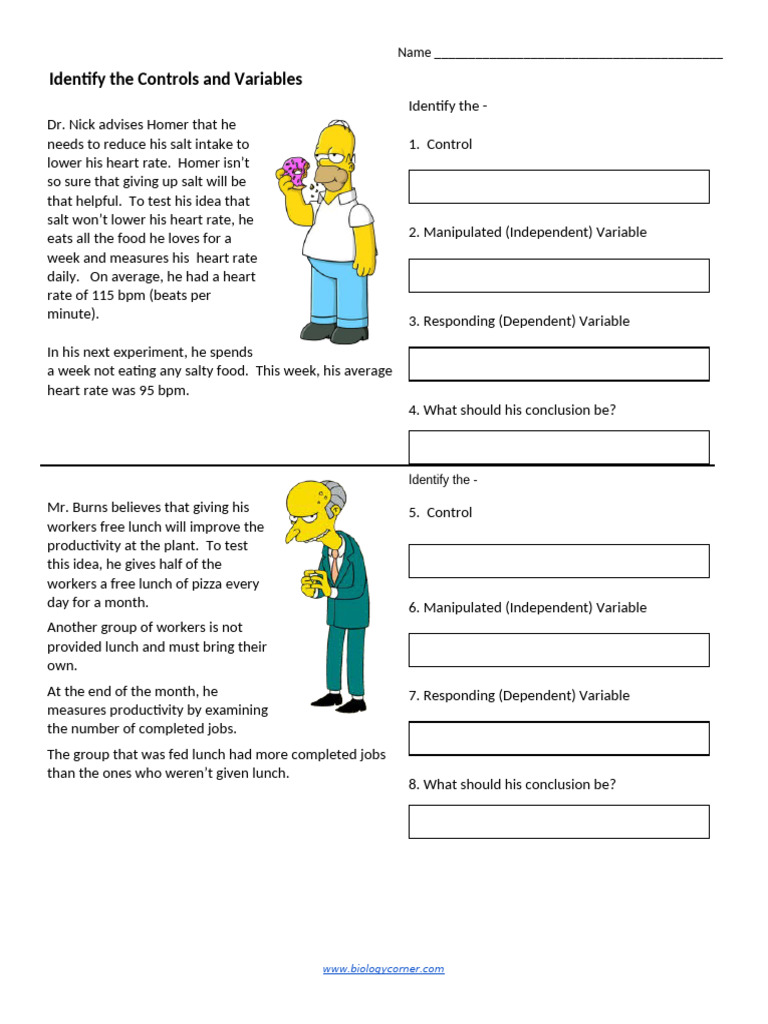 Controls and Variables Worksheet | PDF