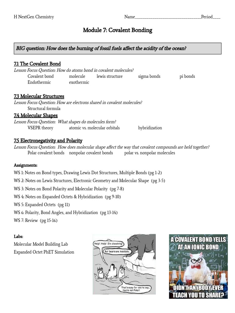 23-24 HNGC Module 7 Packet | PDF