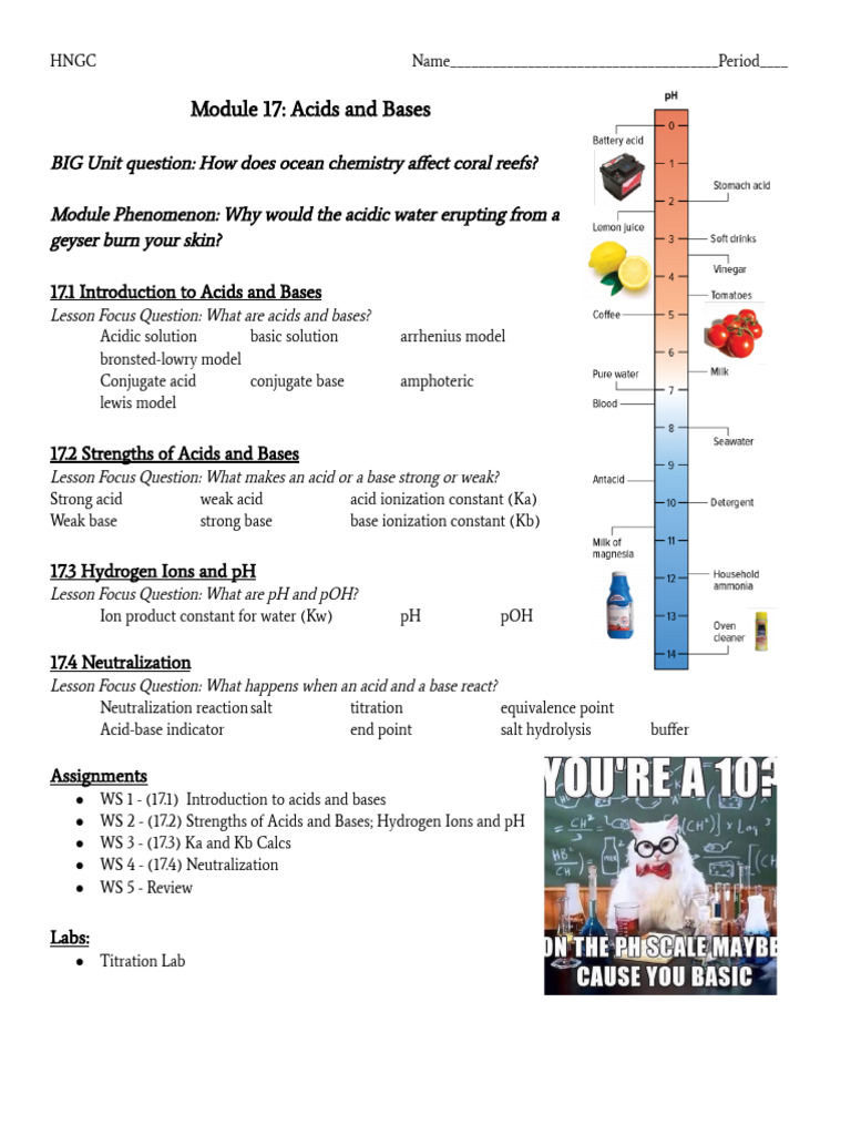 23-24 HNGC Module 17 Packet | PDF