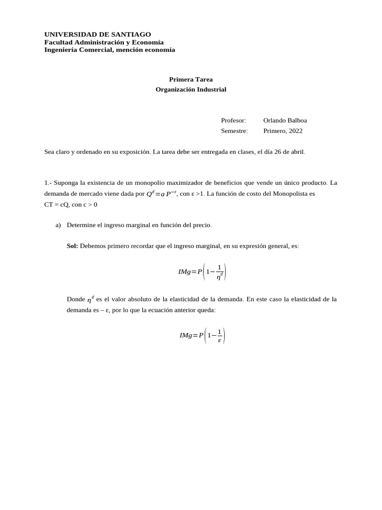 Pauta Primera Tarea | PDF