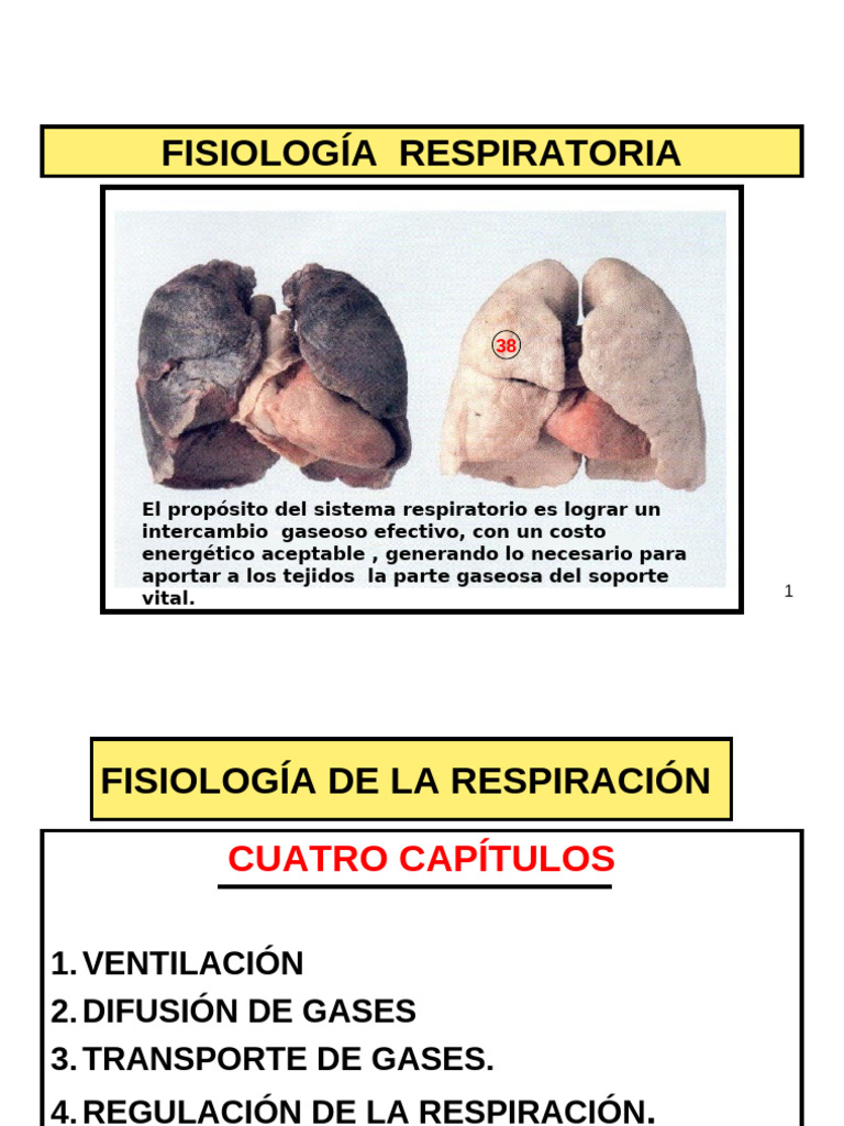 Ventilación (DR Kaen) | PDF