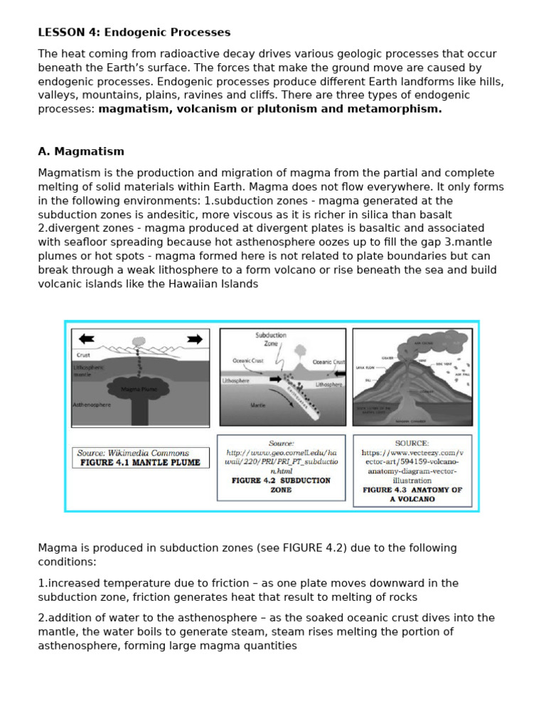 Lesson 4 Endogenic | PDF