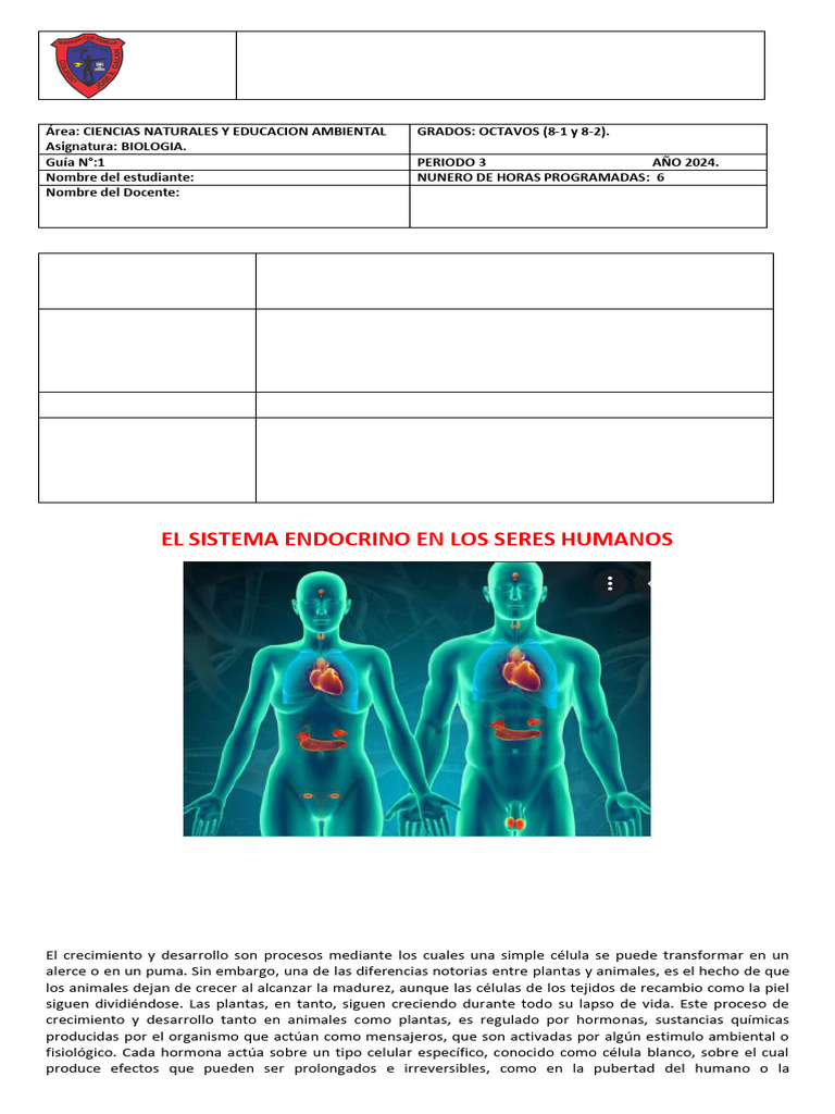 Biología 8º Guía Nº1 3 Periodo 20241 | PDF | Sistema linfático | Sistema endocrino