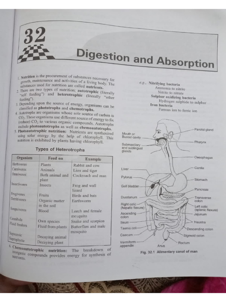 Digestion and Absorption | PDF