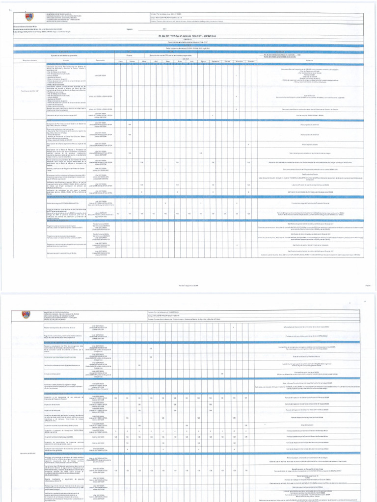 Plan de Trabajo Anual SGSST General Excel Firmado | PDF