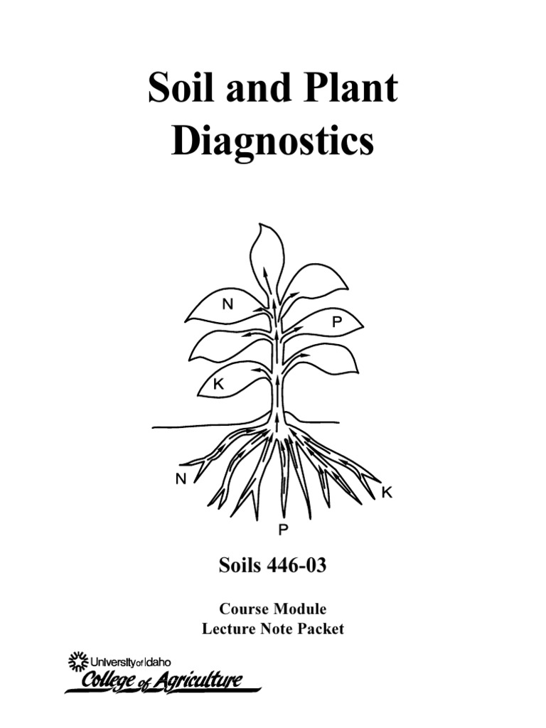 Soil and Plant Diagnostics | PDF